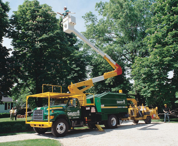 Davey Tree Expert Company