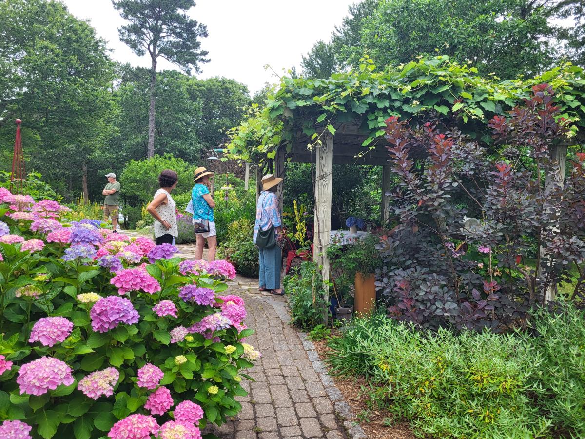 Garden Tour to Benefit Unitarian Church of Barnstable: The Fornari’s Garden
