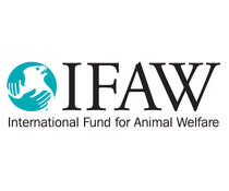 IFAW