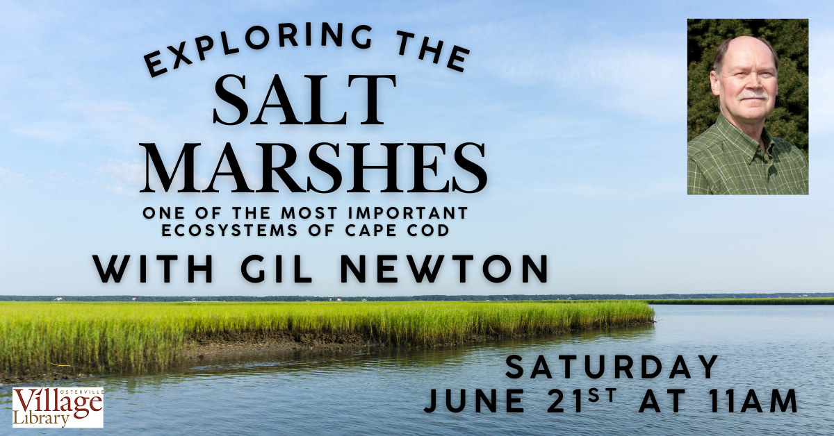 Exploring the Salt Marshes of Cape Cod with Ecologist Gil Newton