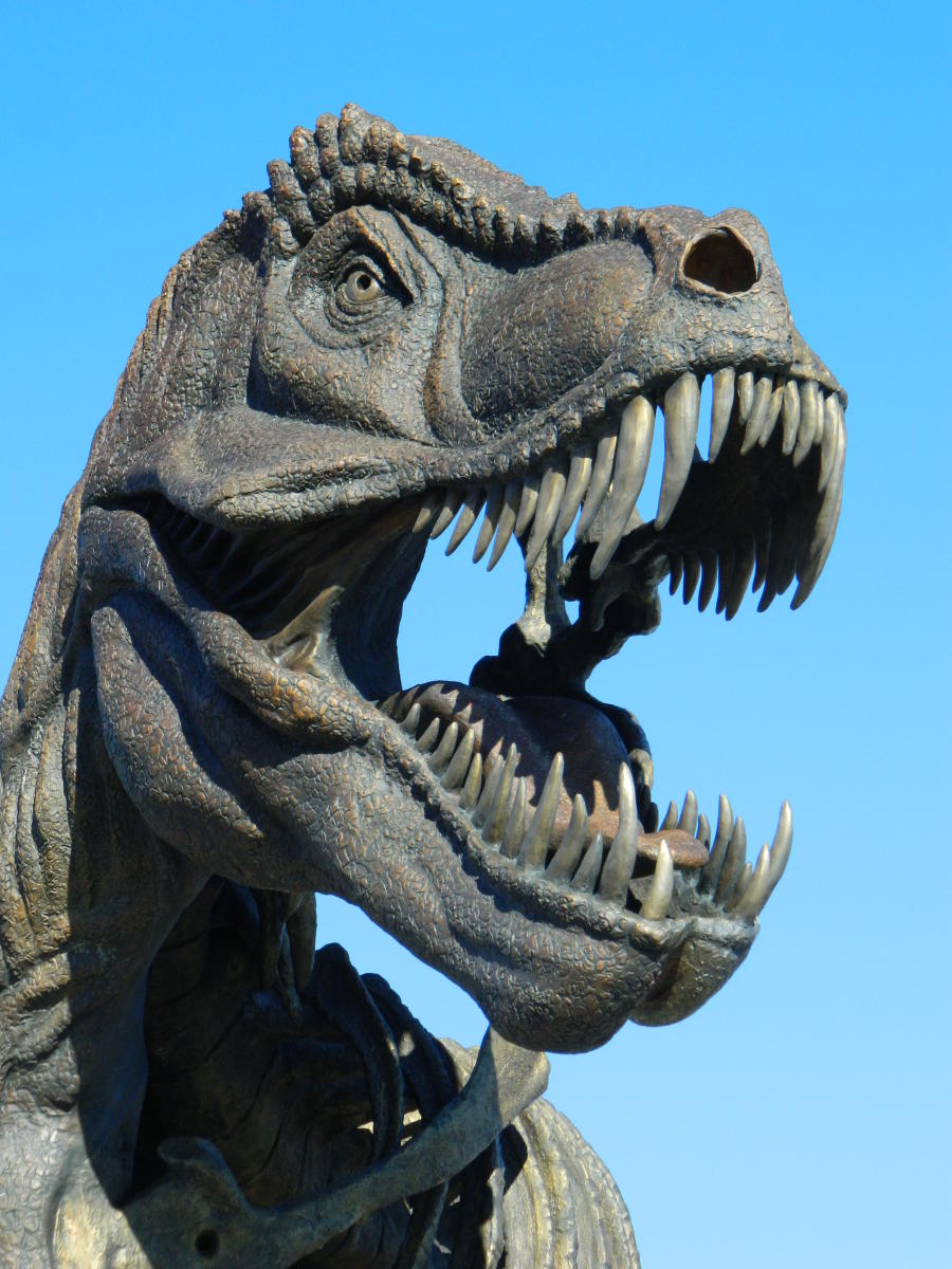 Tate Geological Museum