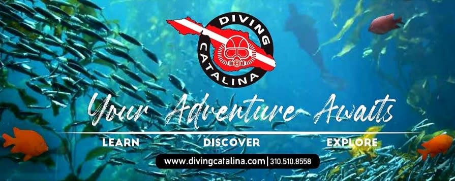 Diving Catalina | Catalina Island