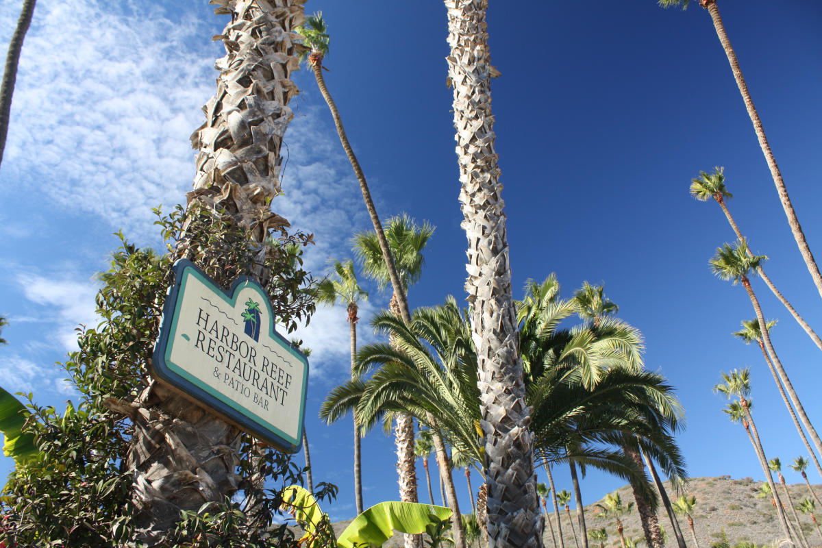 Harbor Reef Restaurant | Catalina Island