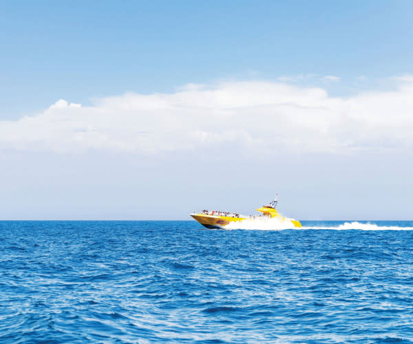 Discover Two Harbors - Cyclone | Catalina Island