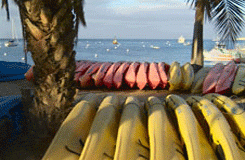 Two Harbors Activities & Adventures | Catalina Island
