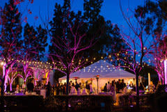 Lux Event Rentals