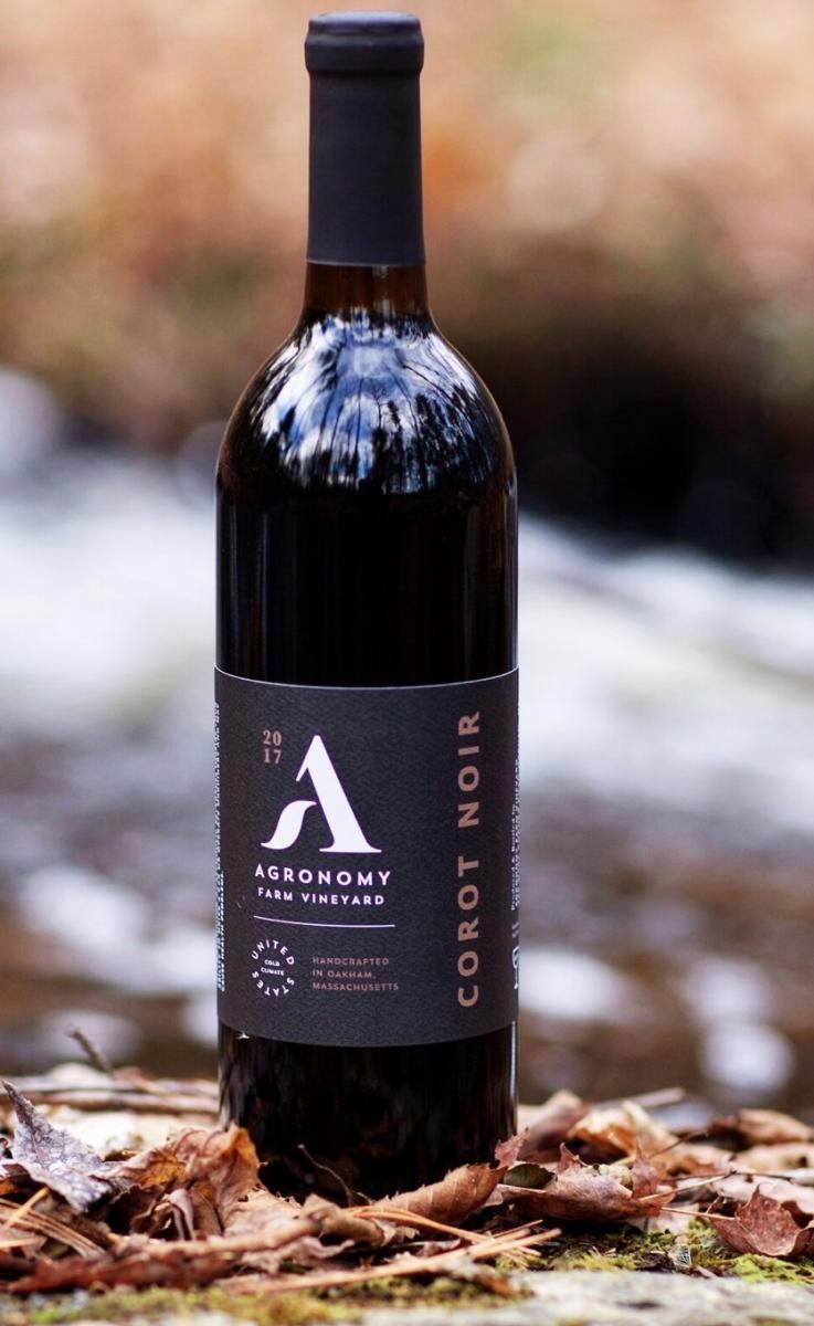 Agronomy Farm Vineyard