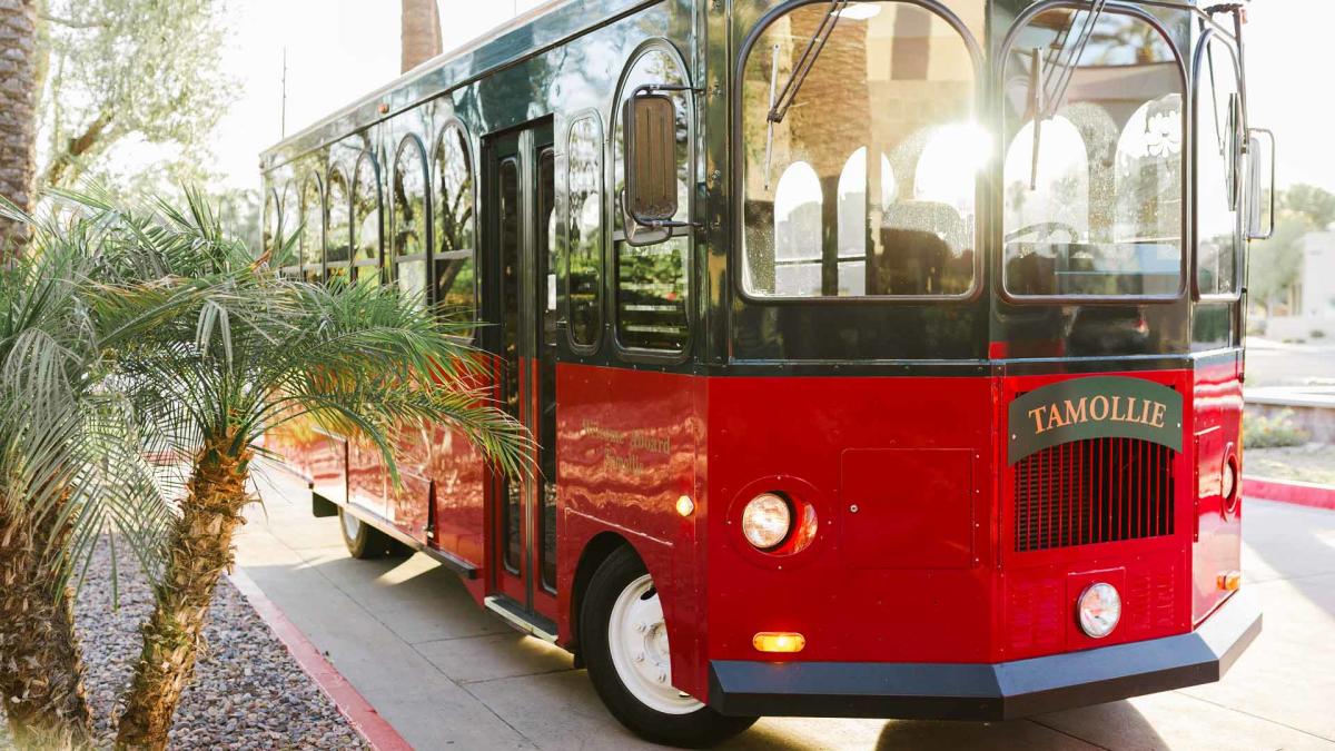 Ollie the Trolley & Dunn Transportation