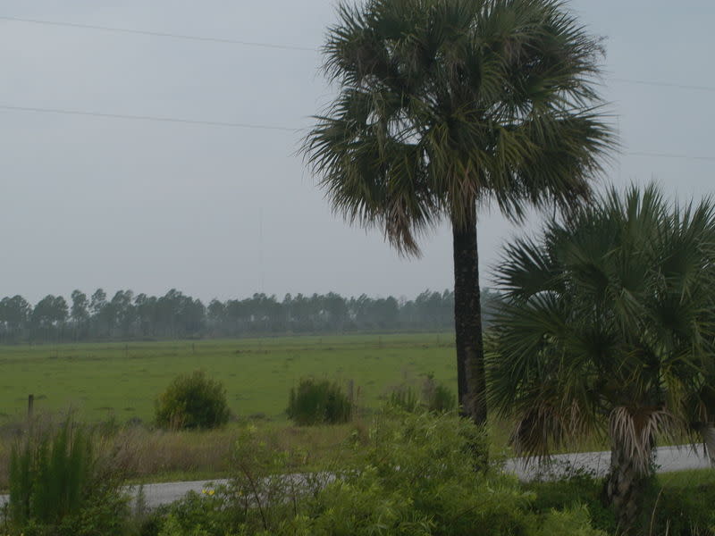 Babcock/Webb Wildlife Management Area