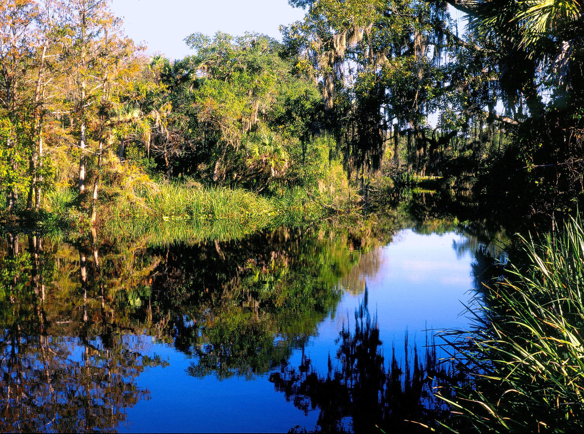 Shell Creek Preserve