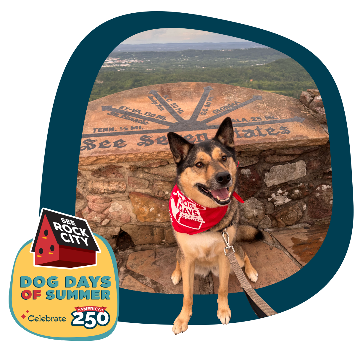 Rock City’s Dog Days of Summer Kick Off