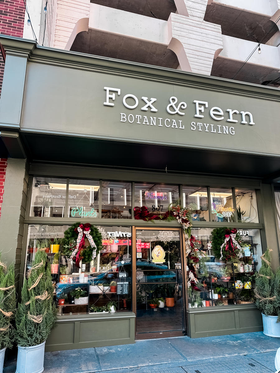 Fox and Fern
