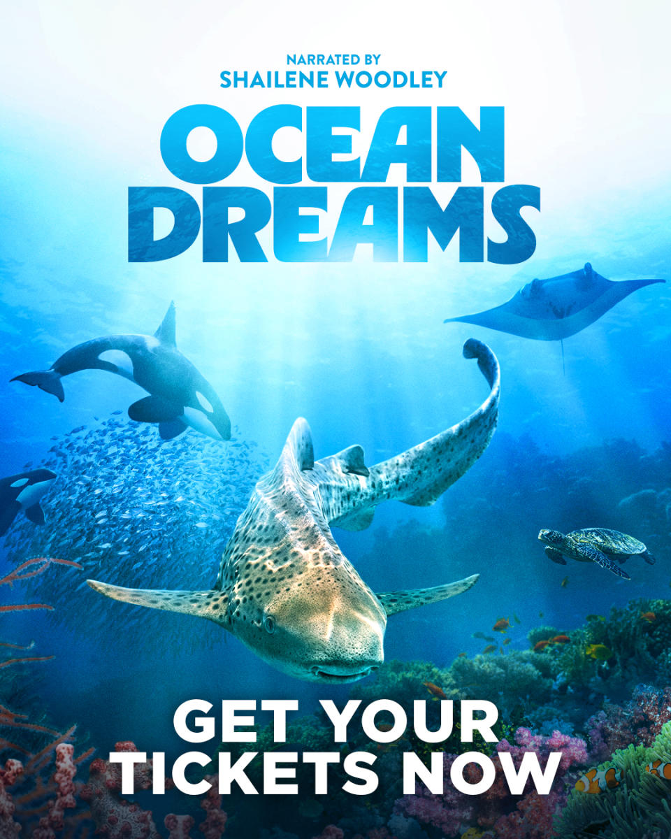 Ocean Dreams 3D Premiere in IMAX!