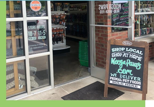Nooga Paws