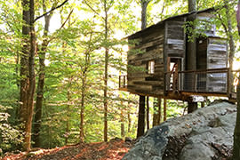 Treetop Hideaways