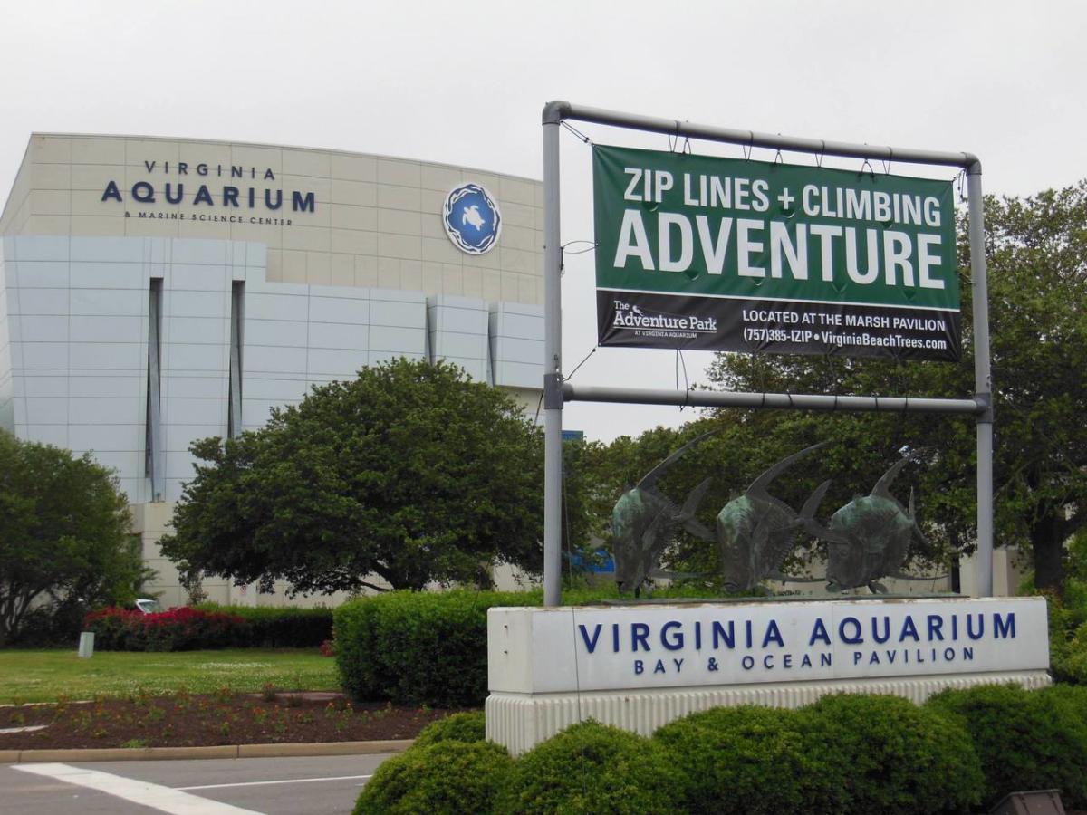 The Adventure Park at Virginia Aquarium