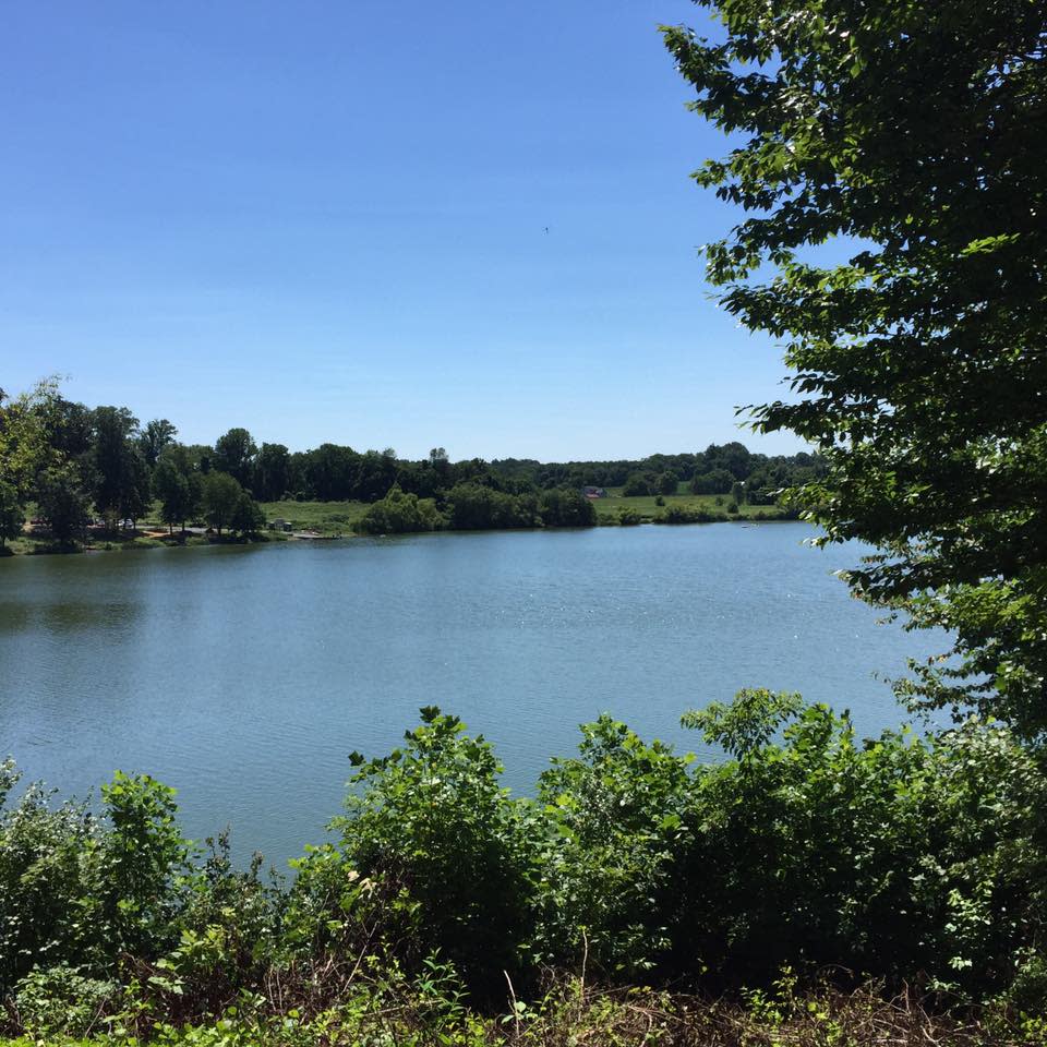 Hibernia County Park