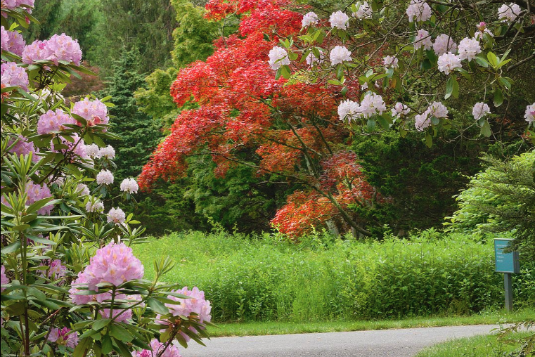 Tyler Arboretum