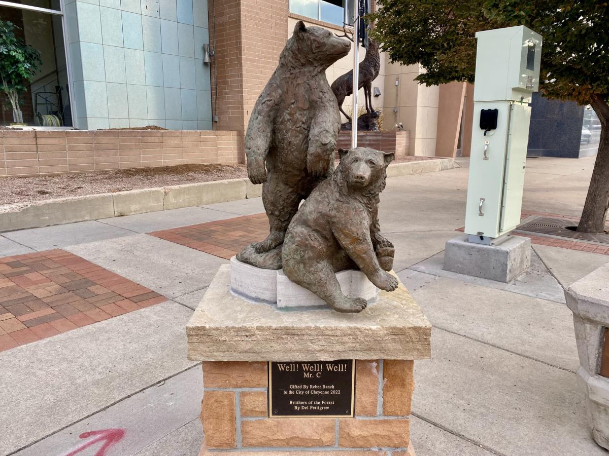 Brothers of the Forest