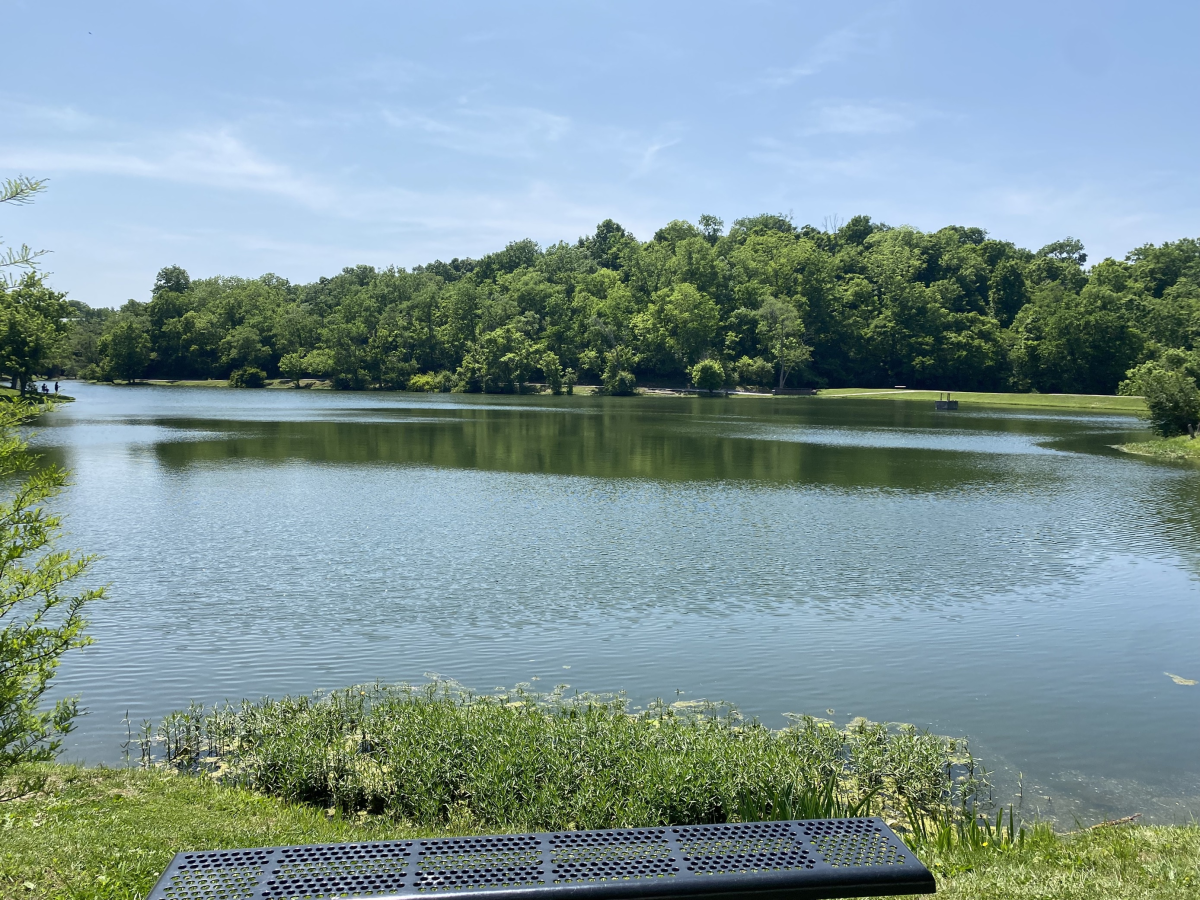 Alexandria Community Park in Alexandria, KY | Visit Cincy