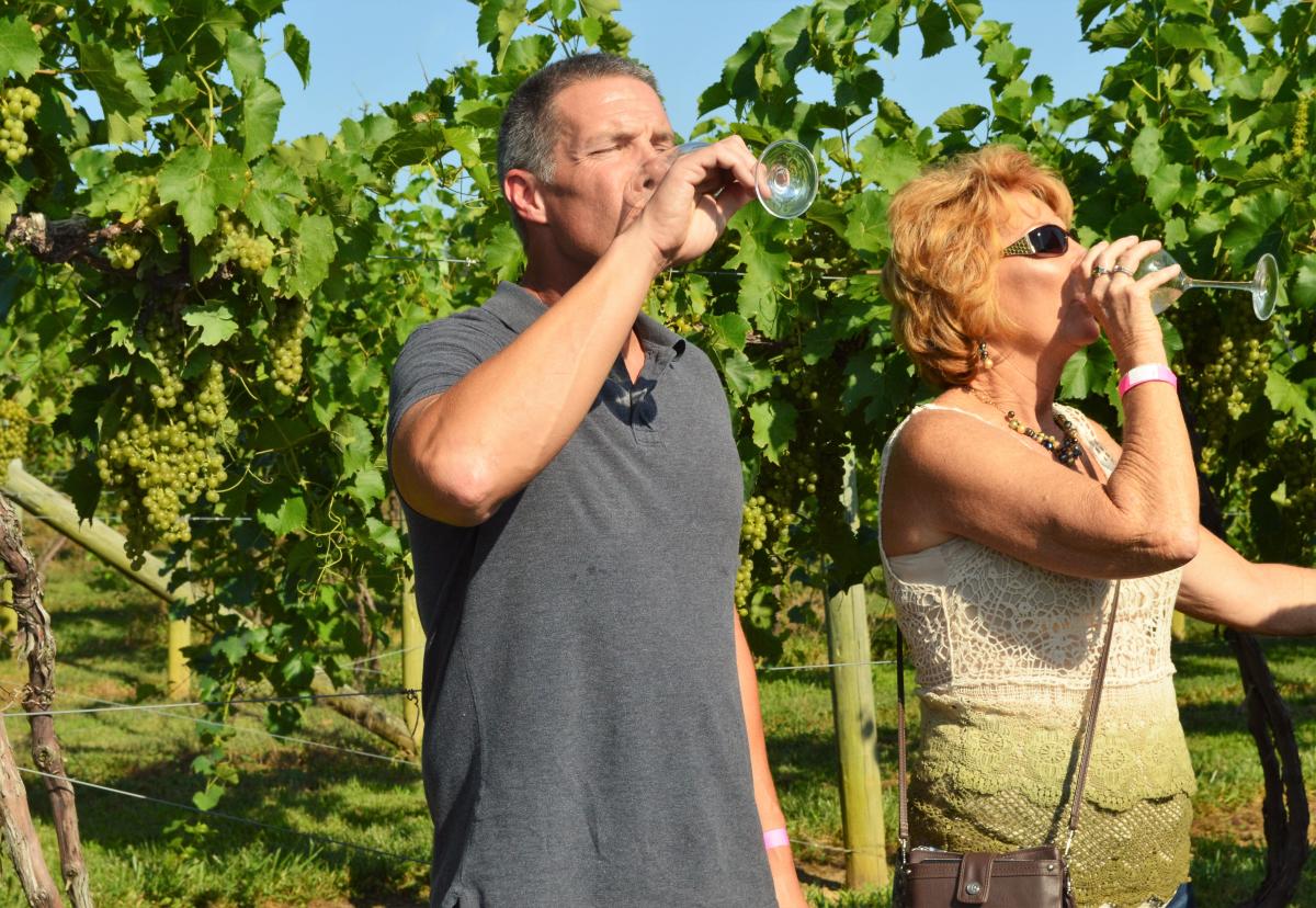 Indiana Uplands Wine Trail | Starlight, IN 47106