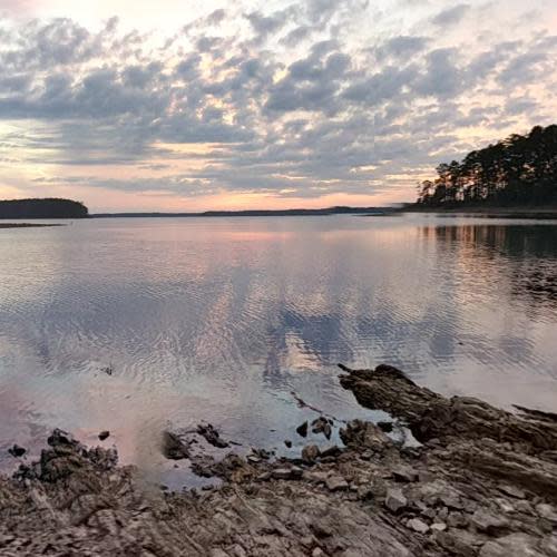 Mistletoe State Park