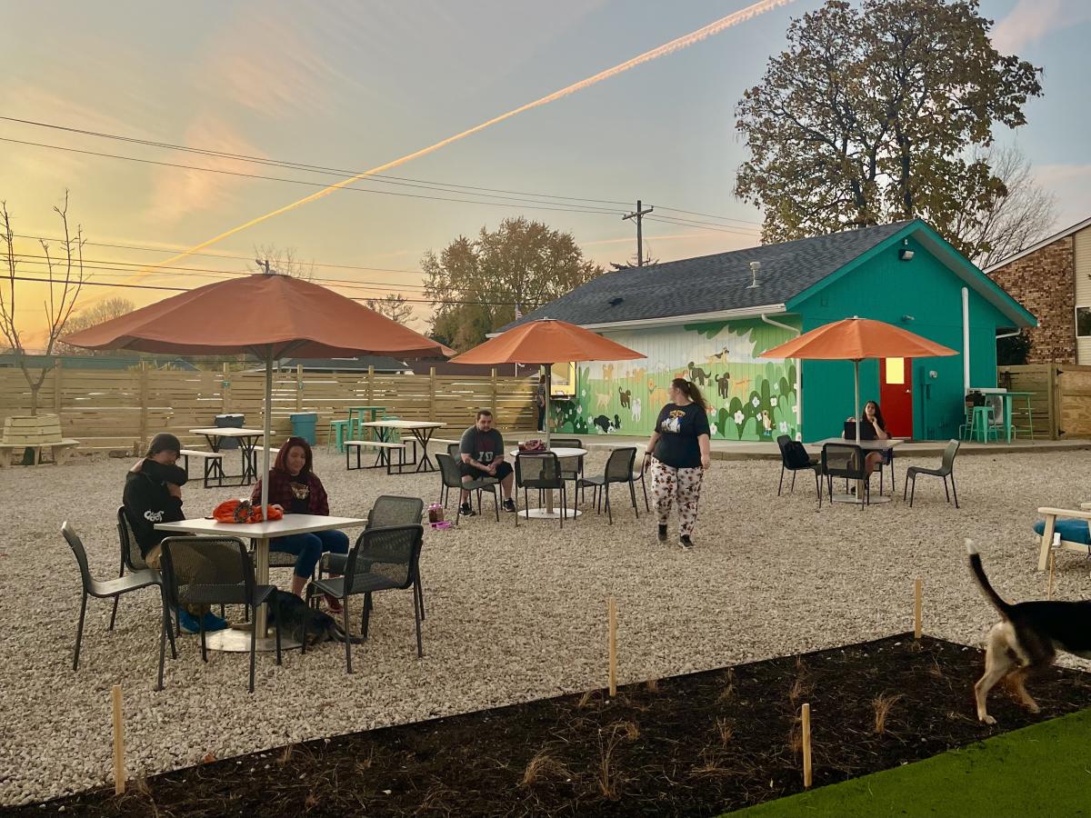 Bumble's Backyard | Columbus, OH 43223