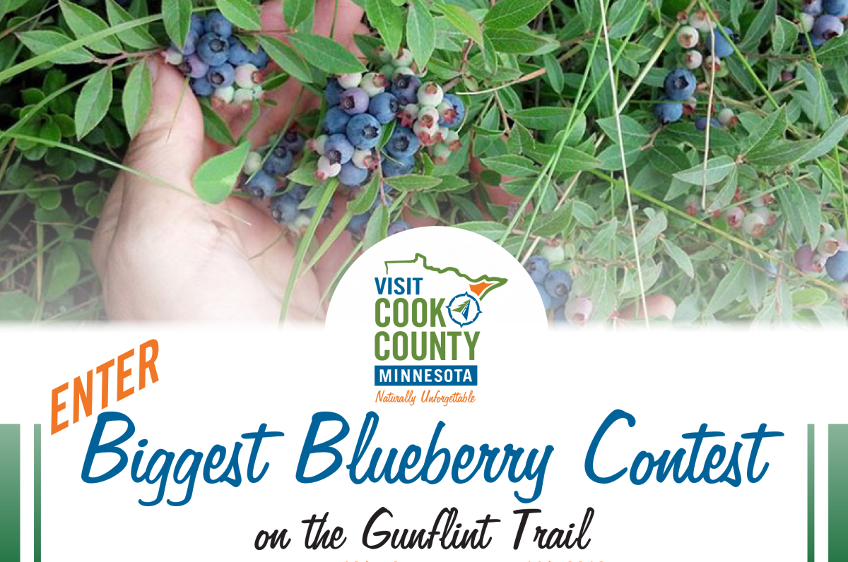 The Biggest Blueberry Contest