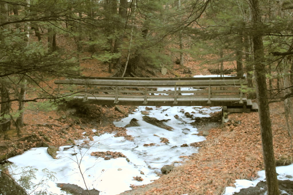 Hooker Mountain State Forest