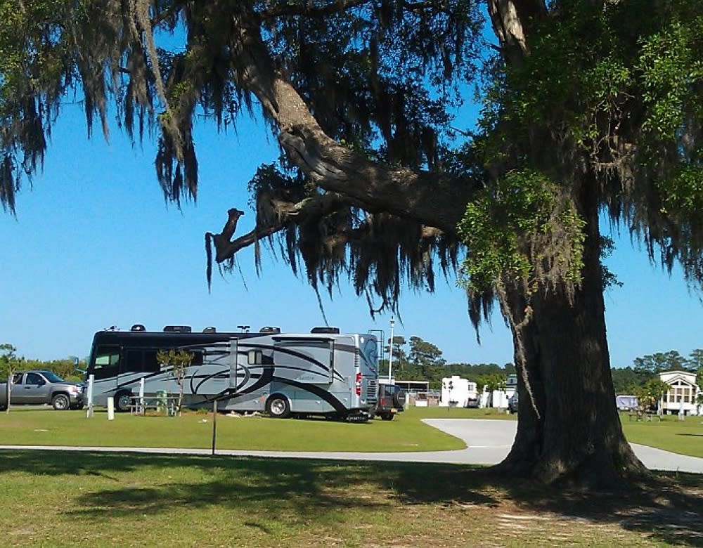 White Oak Shores Camping & RV Resort | Stella, NC