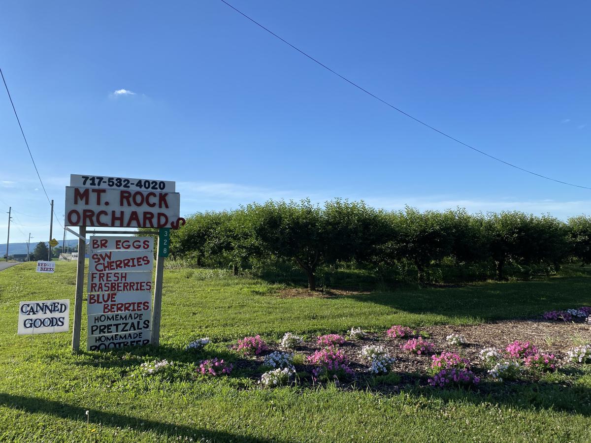 Mount Rock Orchards