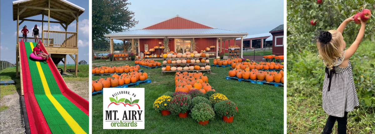 Mt. Airy Orchards