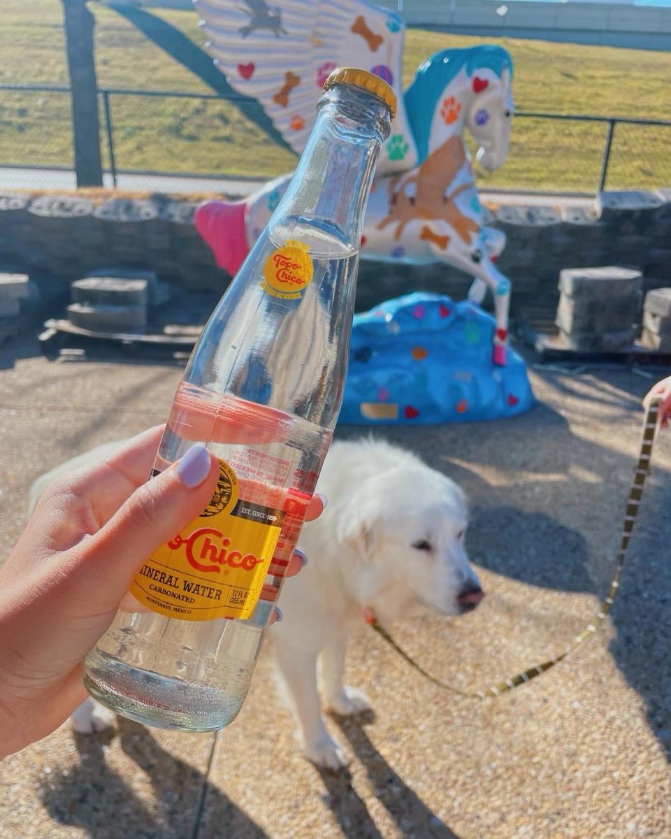 Dallasites101 Serve & Social at SPCA of Texas
