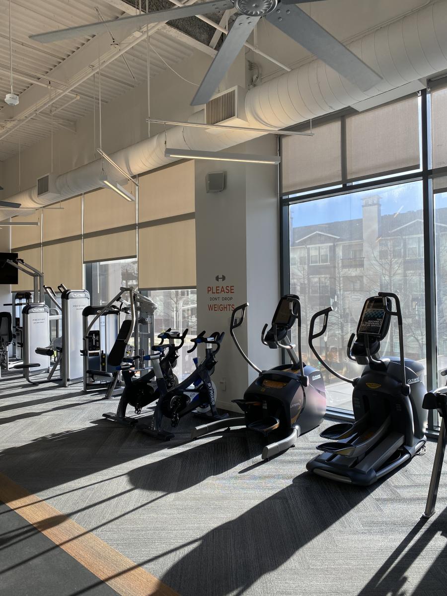 Vive Personal Training