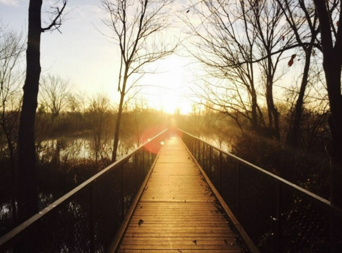 Guided Nature Hike