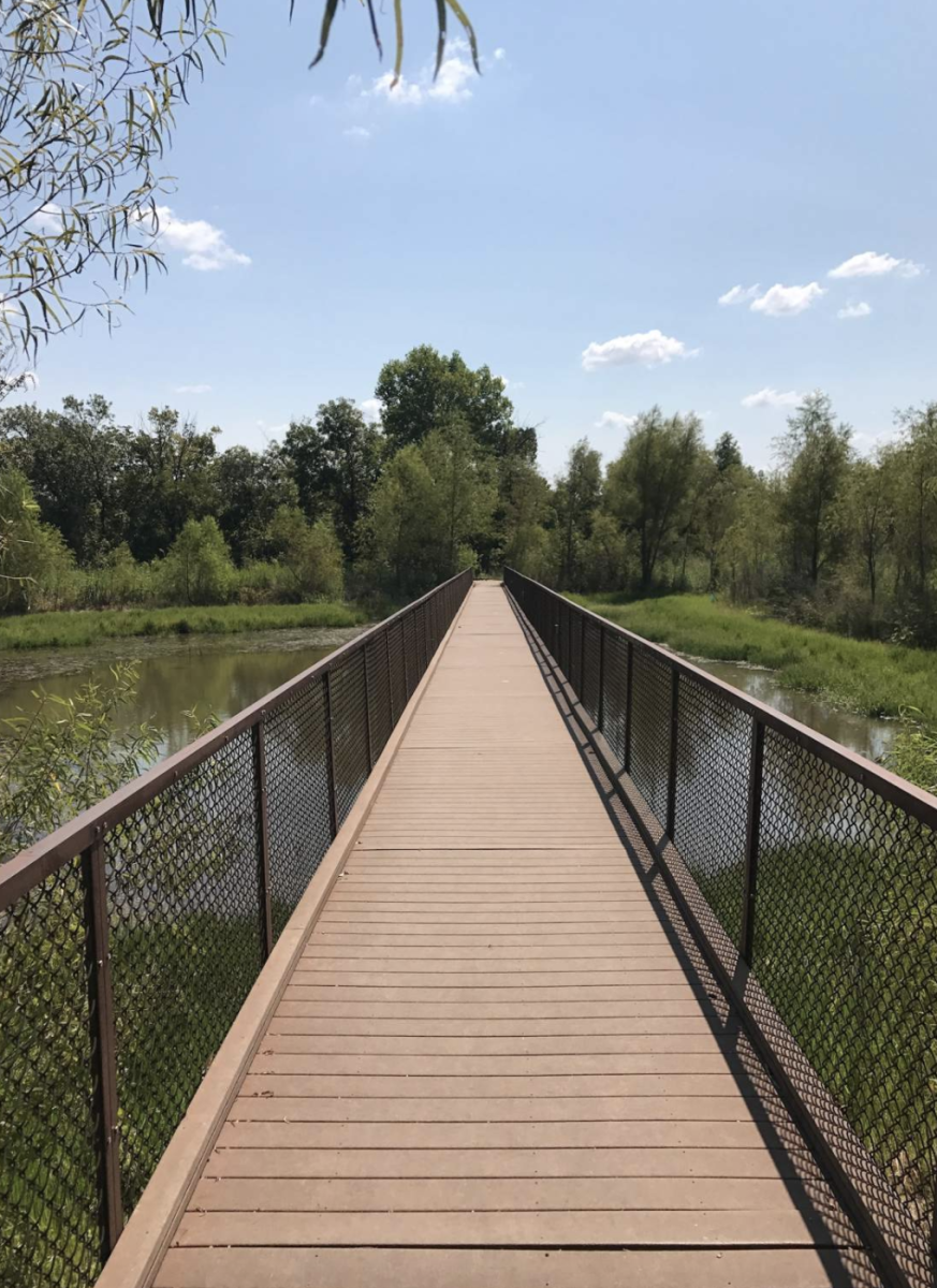 Trinity River Audubon Center