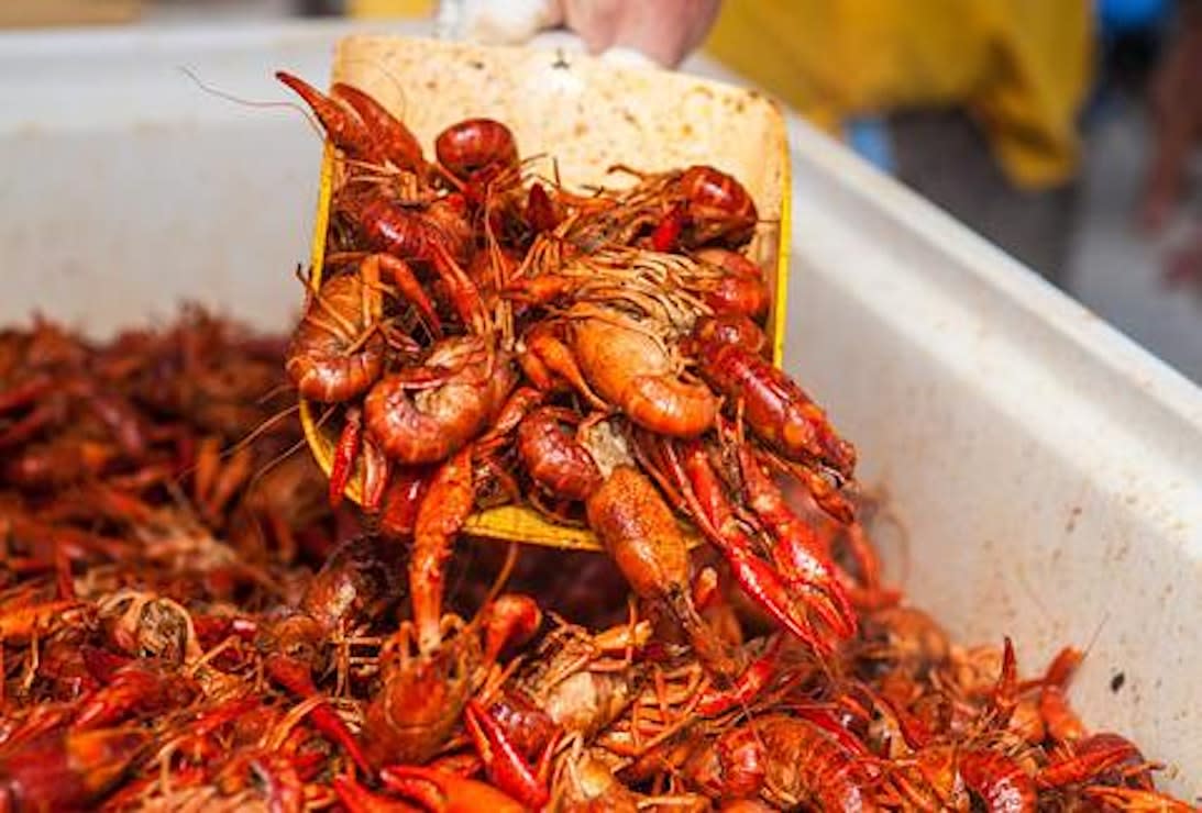Dallas Crawfish Kickoff Festival