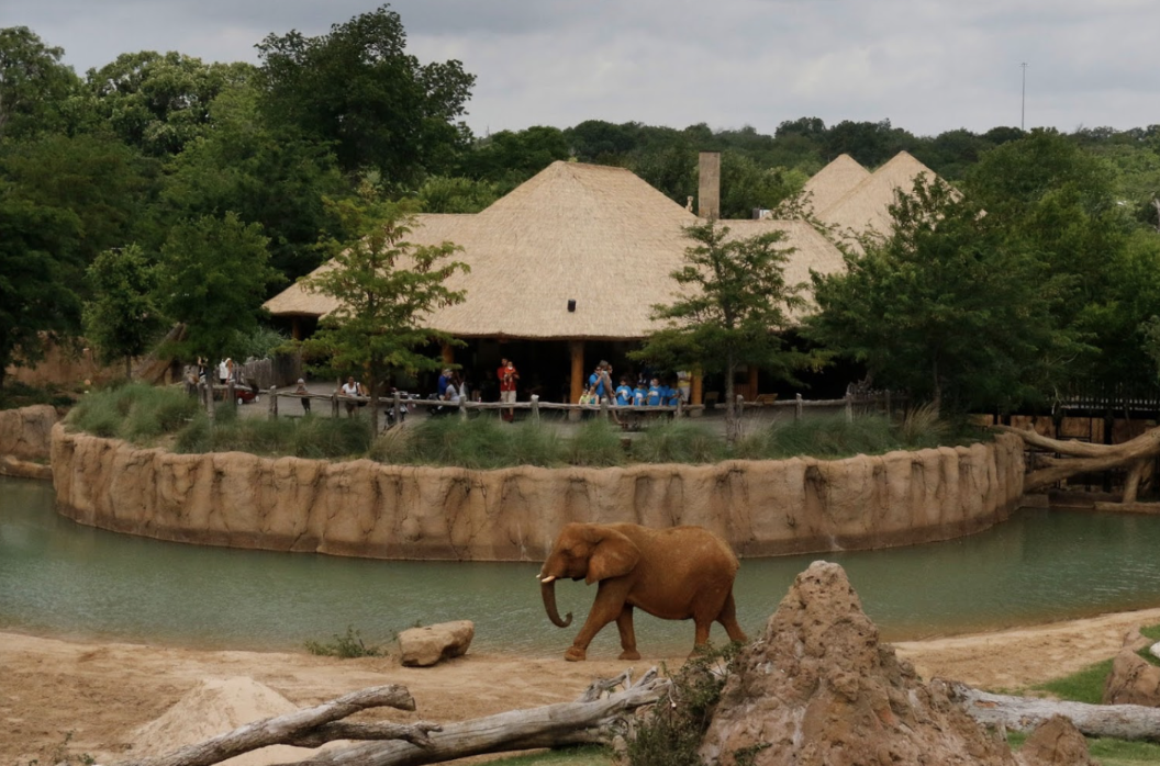 Dallas Zoo