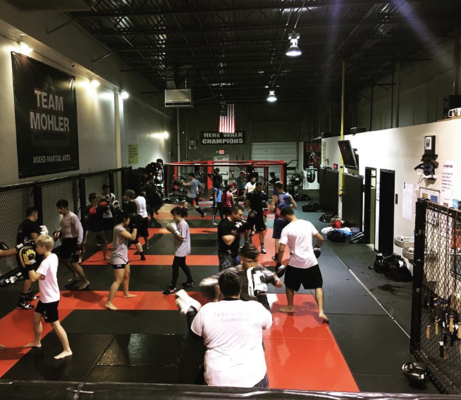 Mohler MMA