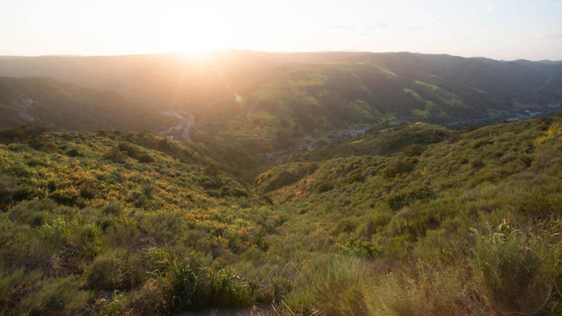 Aliso & Wood Canyons Regional Park