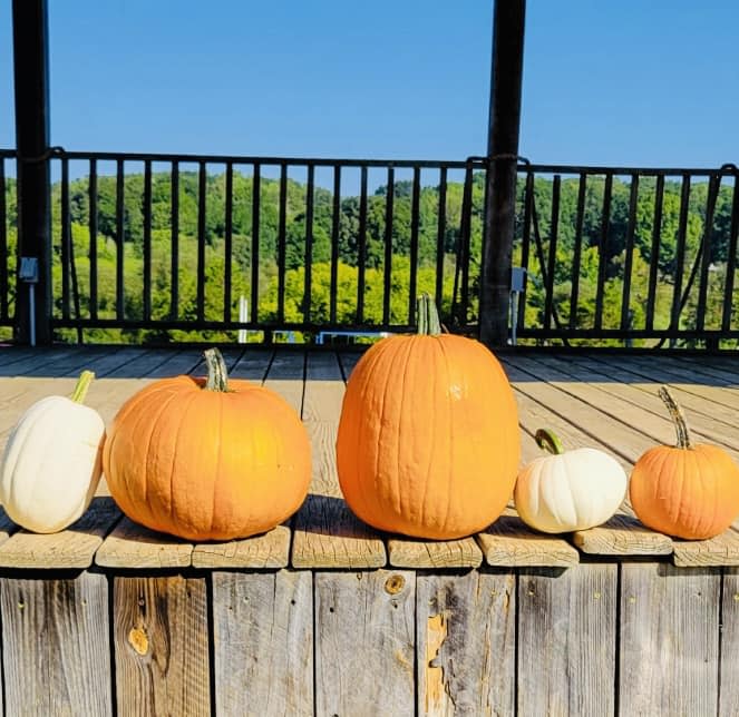 Owen Farm Tours LLC