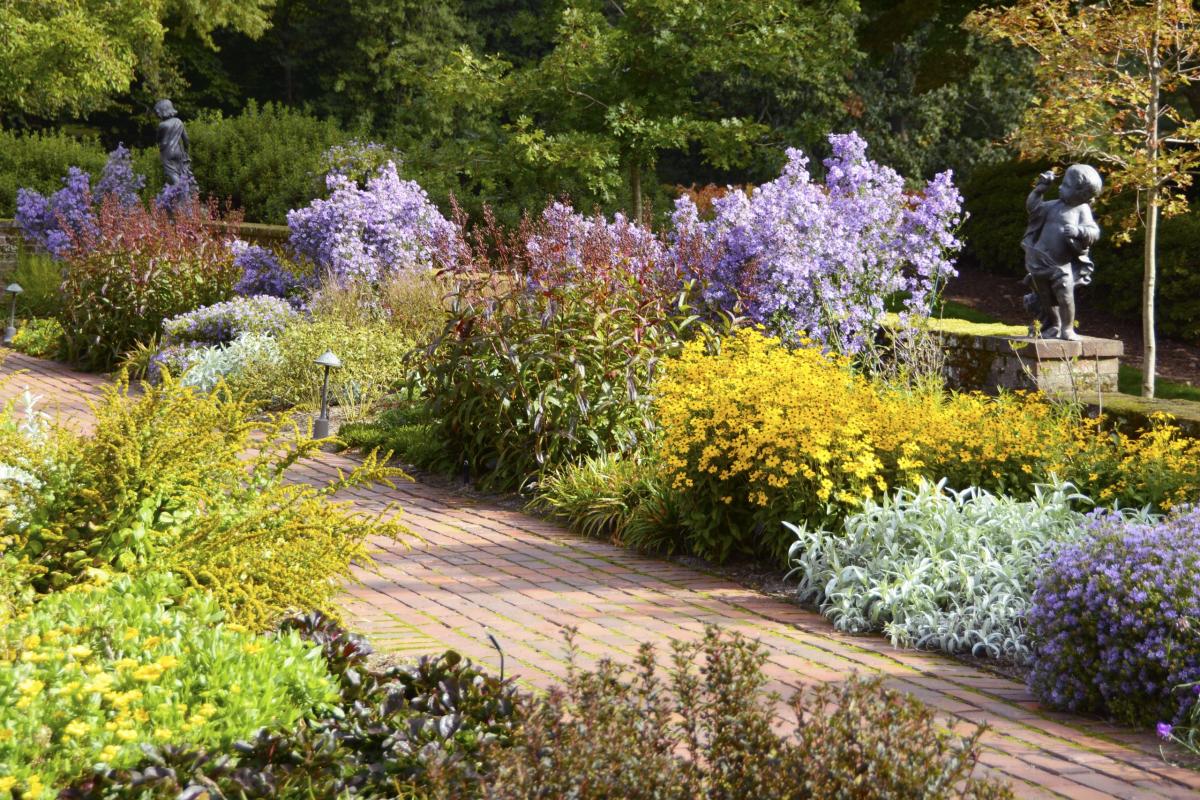 The Beginner’s Native Perennial Garden