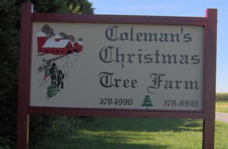 Coleman's Christmas Tree Farm
