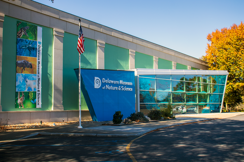 Delaware Museum of Nature and Science