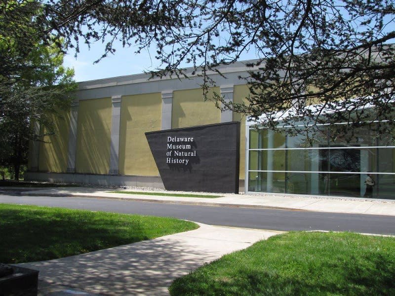 Delaware Museum of Nature and Science