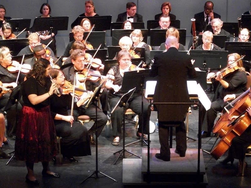 Dover Symphony Orchestra