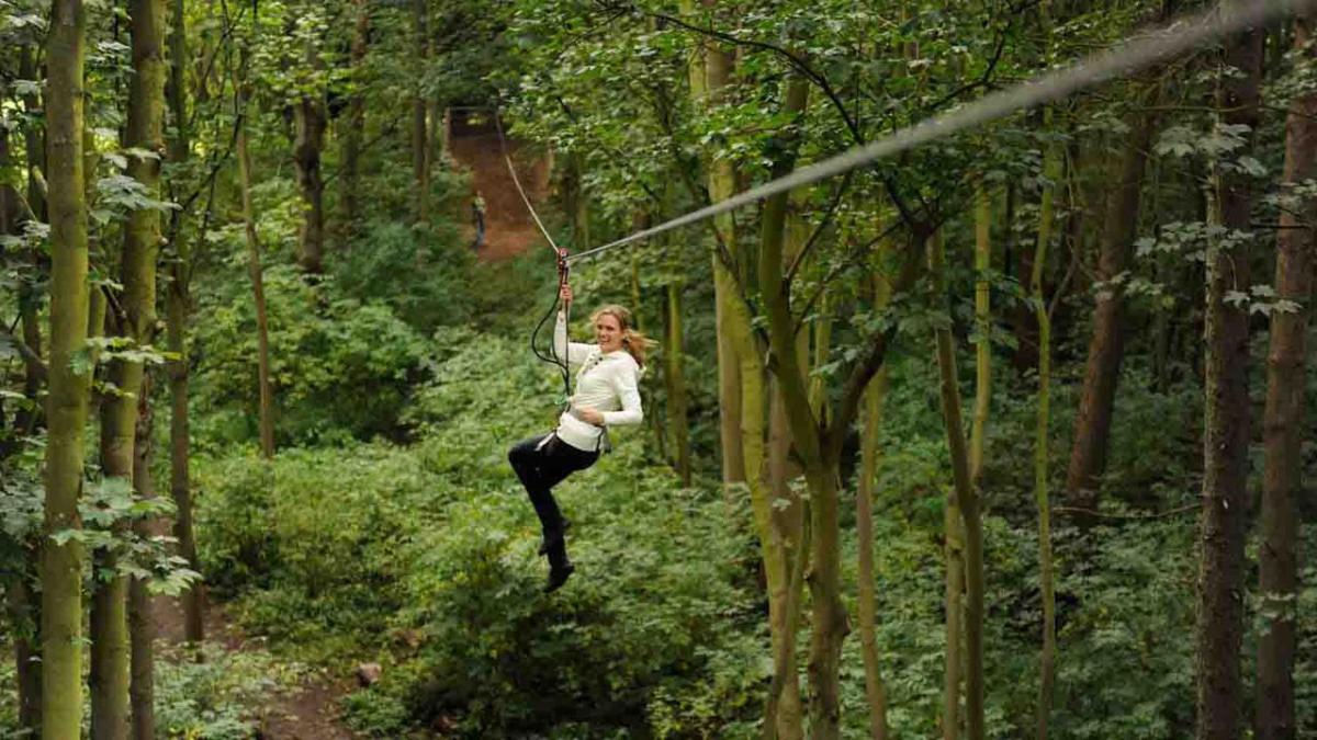 Go Ape Treetop Adventure