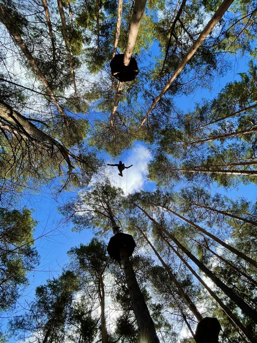 Go Ape Treetop Adventure