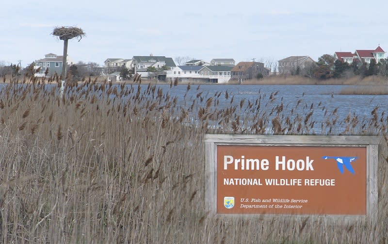 Prime Hook National Wildlife Refuge