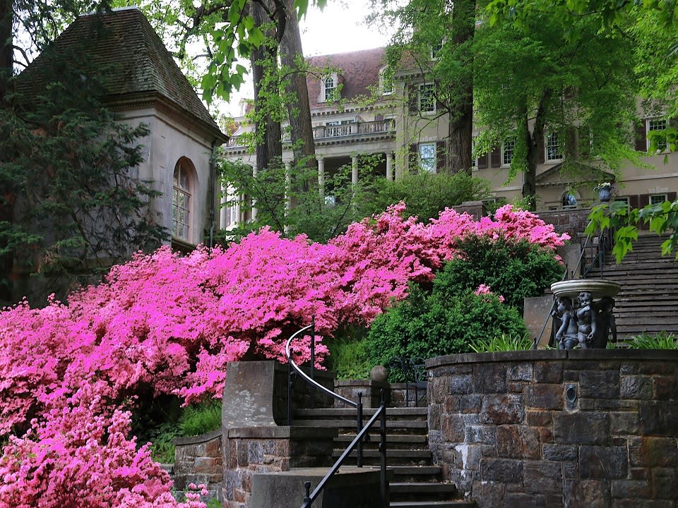 Winterthur Museum, Garden and Library
